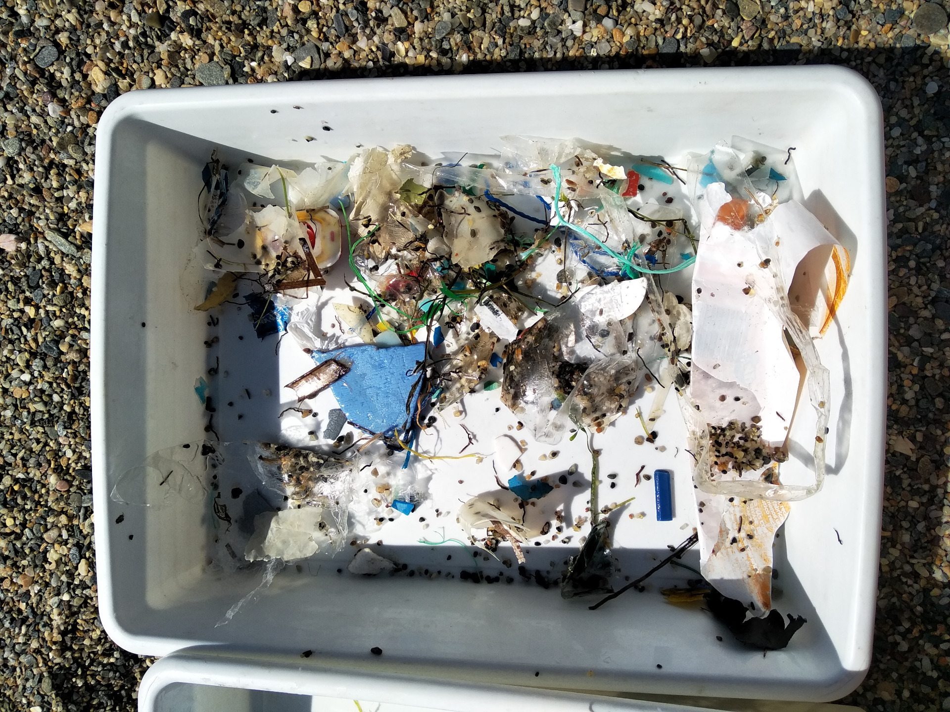 POR UN MAR LIMPIO :: Voluntarios-Promar